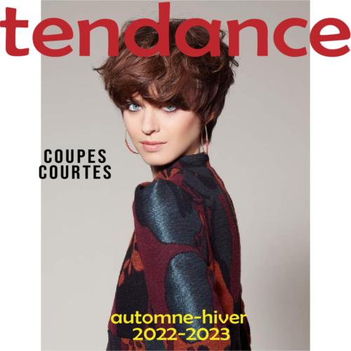 Coupe courte tendance : coiffures courtes l'automne-hiver 2022-2023